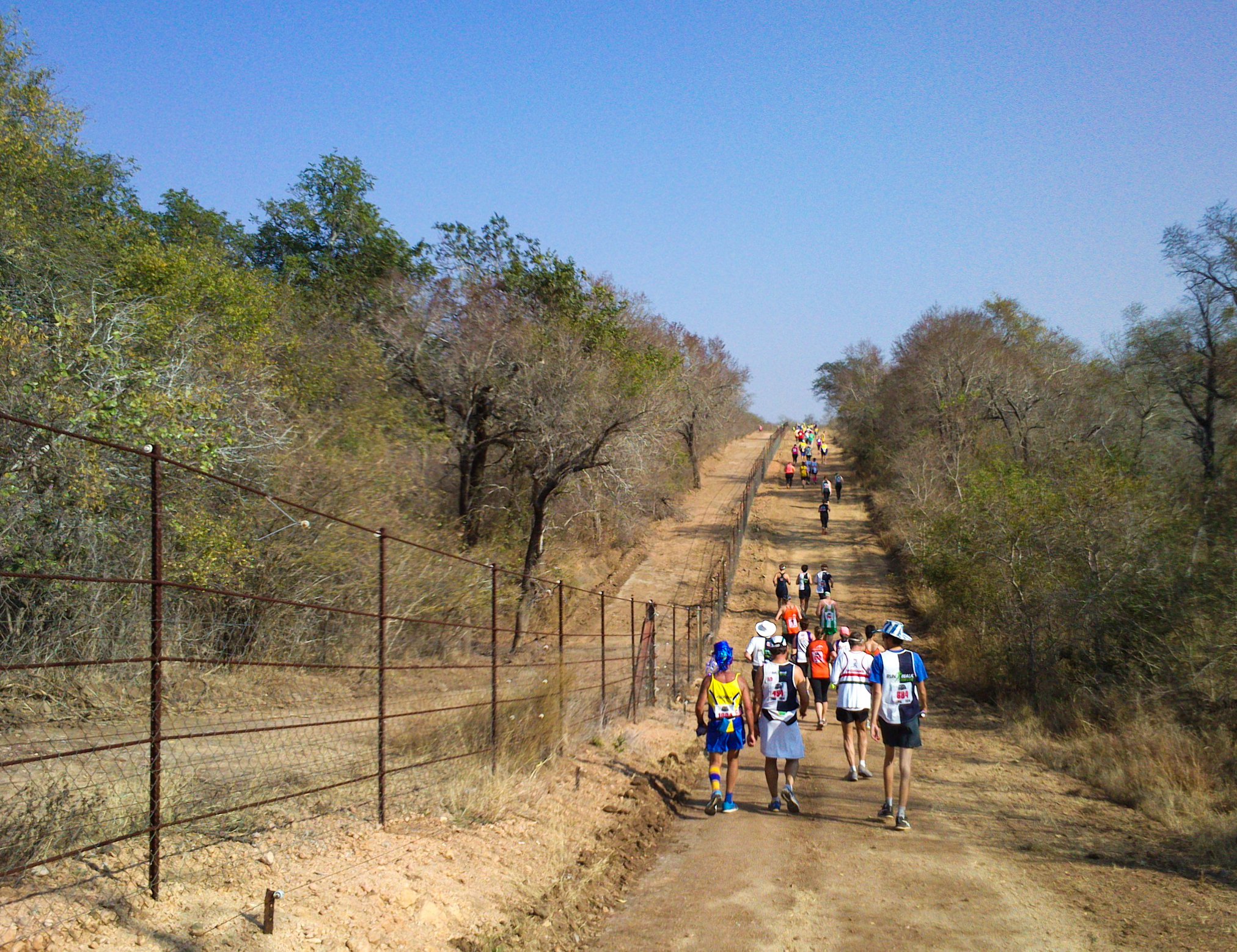 Safari Eventing - Nature Travel Active