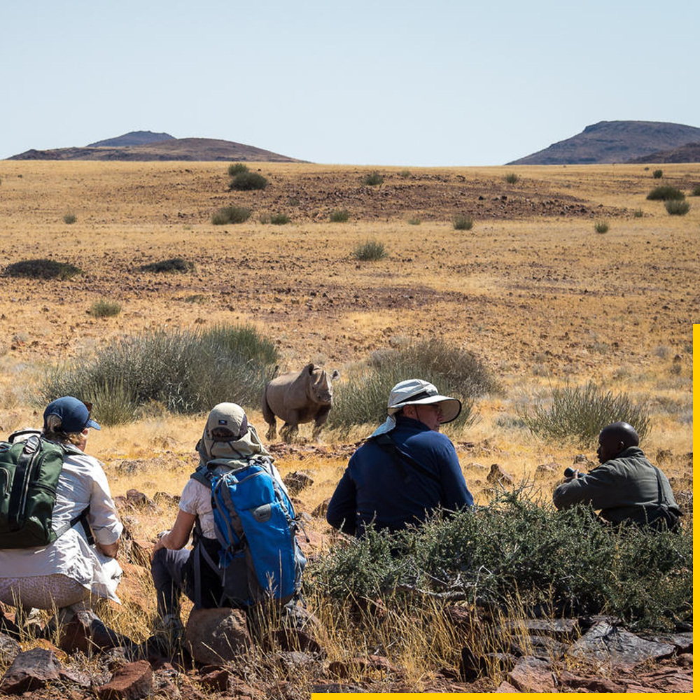 Rhino Walking Safari - Bucket list Experience - Nature Travel Active ...