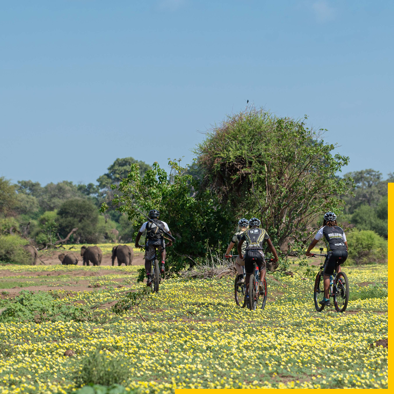 Mashatu MTB Safari - Unique Safari adventure in Botswana